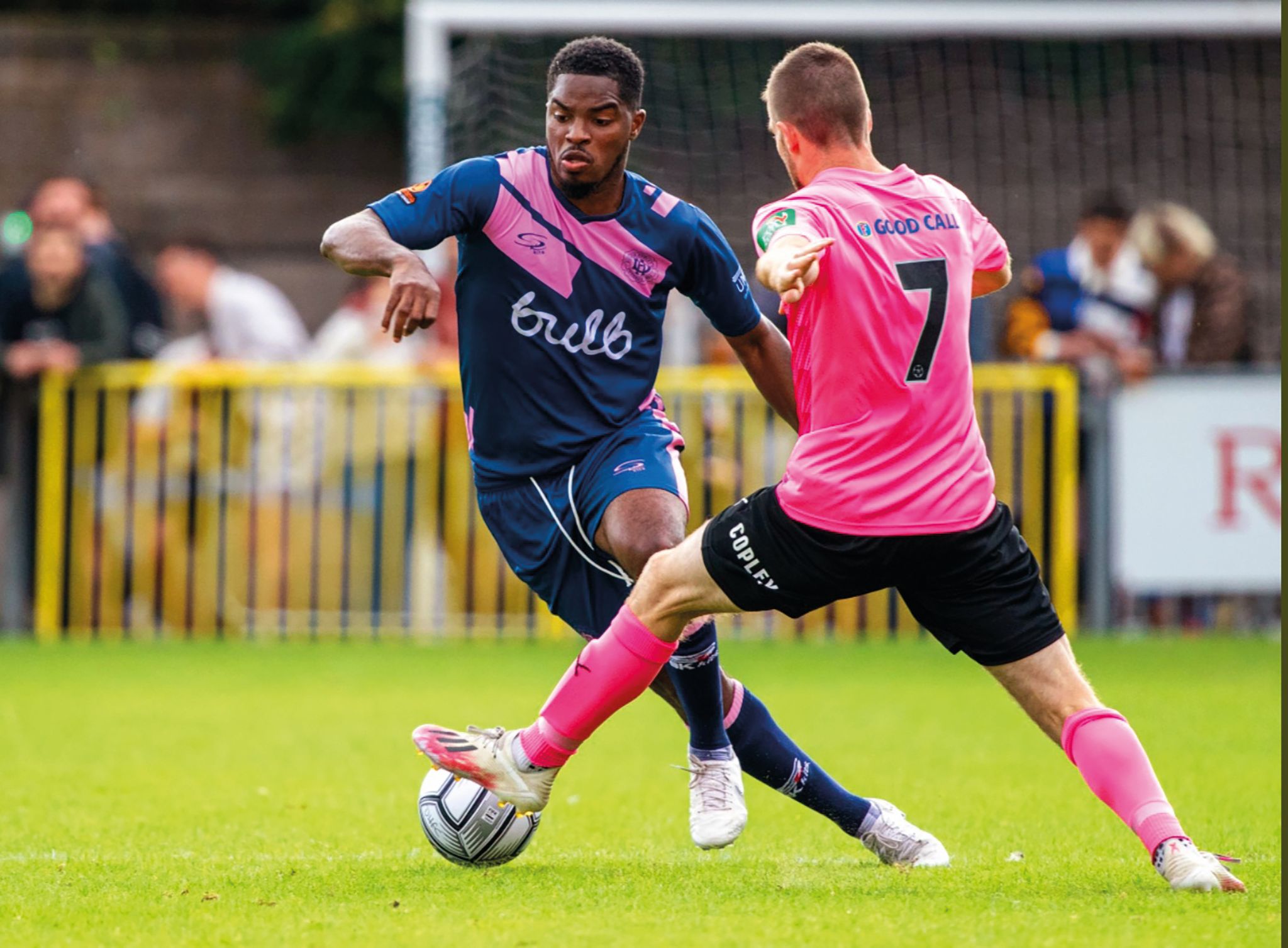 Dulwich Hamlet Football Club - Around Dulwich